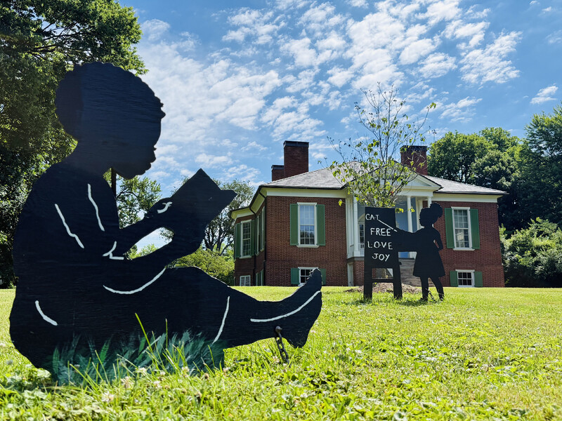 'Childhood Interrupted': What Enslaved Children Teach Us About America ...