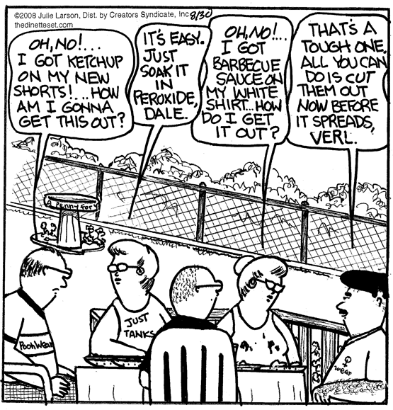 The Dinette Set for Aug 30, 2008, by Julie Larson | Creators Syndicate