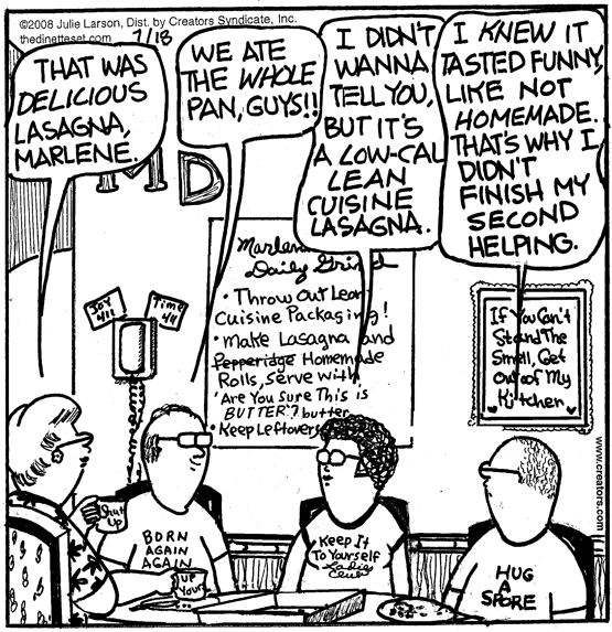 The Dinette Set for Jul 18, 2009, by Julie Larson | Creators Syndicate