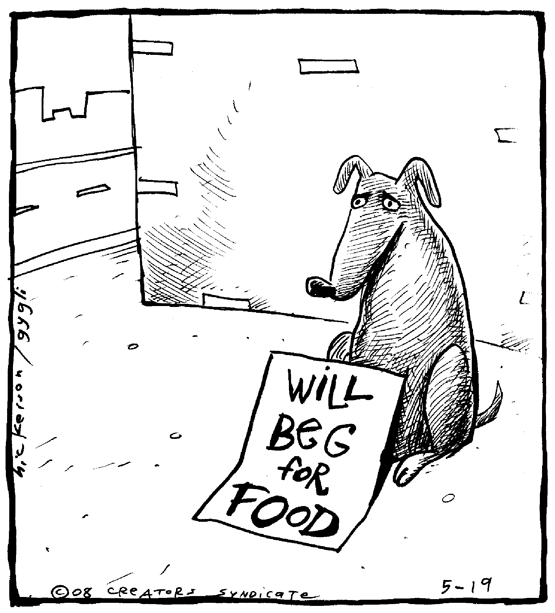 The Quigmans for May 19, 2008, by | Creators Syndicate