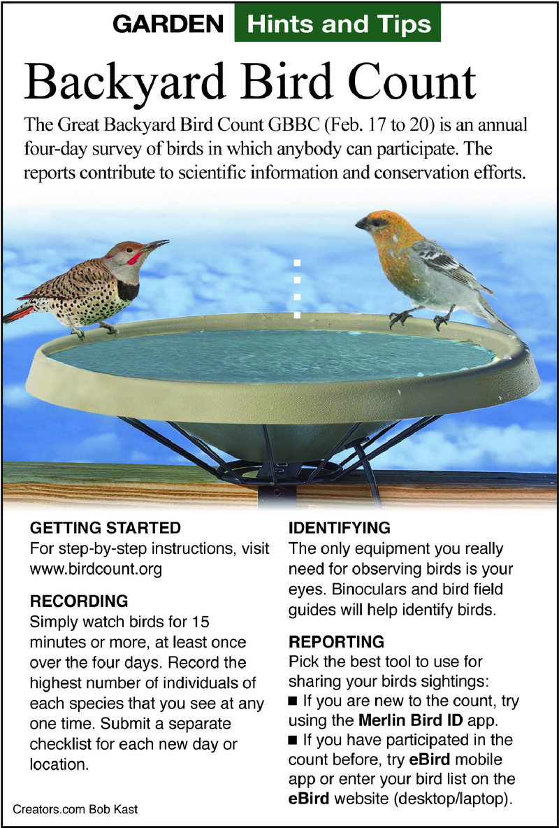 Great Backyard Bird Count, by Jeff Rugg | Creators Syndicate