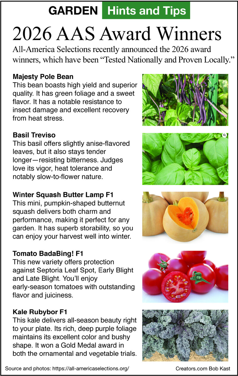 2026 All-America Selections Winners, by Jeff Rugg | Creators Syndicate