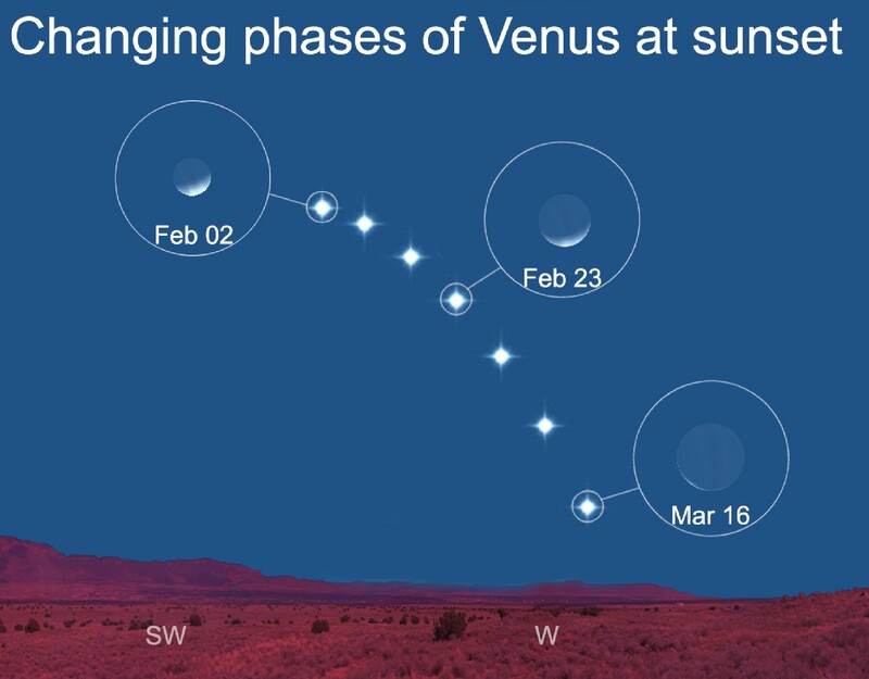 The Changing Face of Venus for 01/28/2025